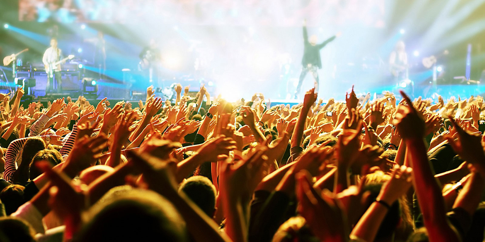 What is Concert Insurance?